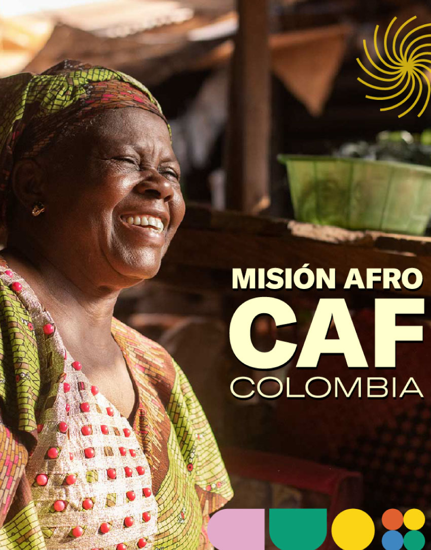 Proyectos - Centro para los Objetivos de Desarrollo Sostenible